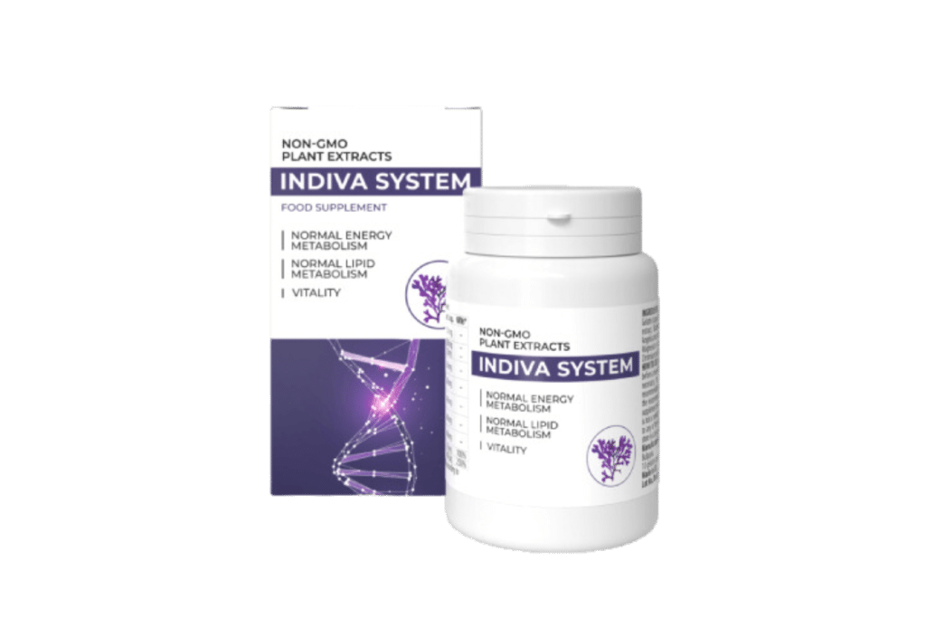 InDiva System : Augmentation d'énergie et avis des utilisateurs - Cquand